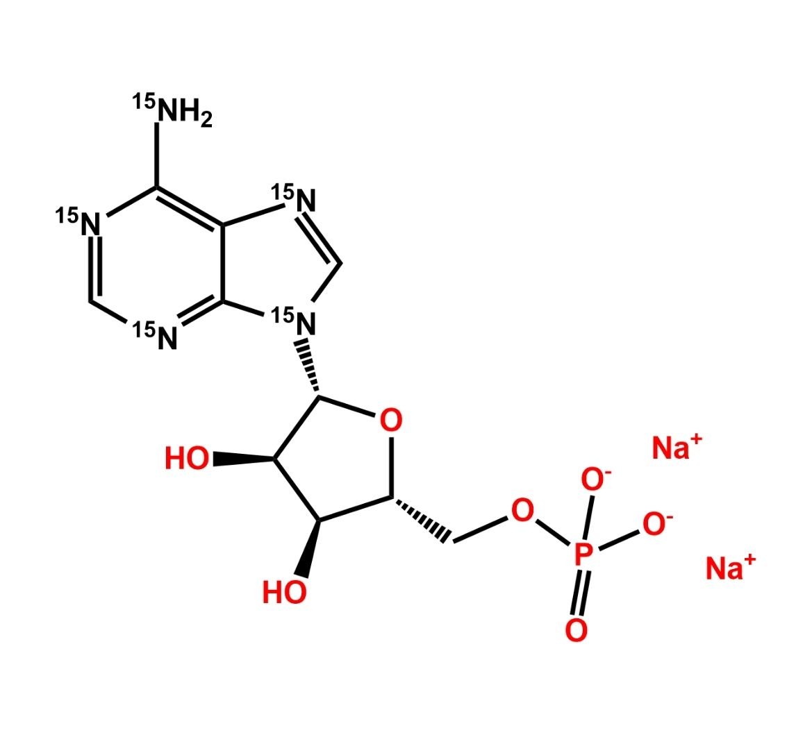 Adenosine-5'-Monophosphate-15N5 (Disodium salt) | CAS No: 1257642-75-3